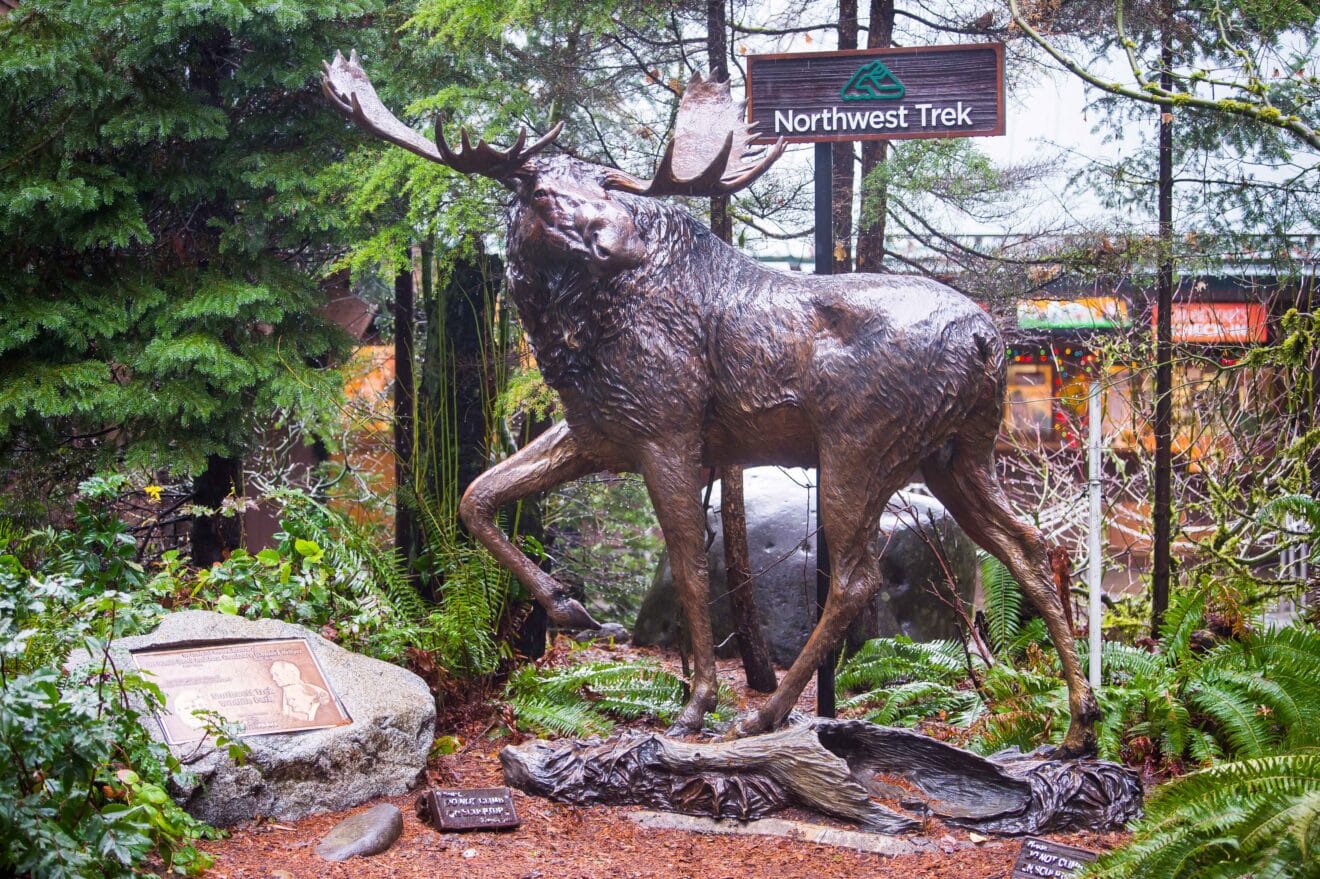 This Is How Northwest Trek Became the Top Wildlife Park in the Pacific ...