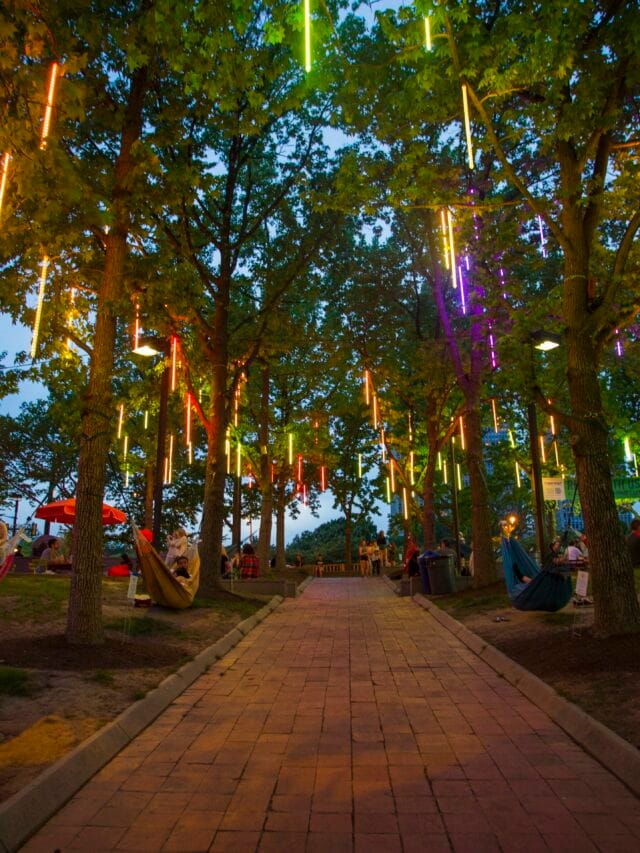 The Ultimate Guide to Spruce Street Harbor Park