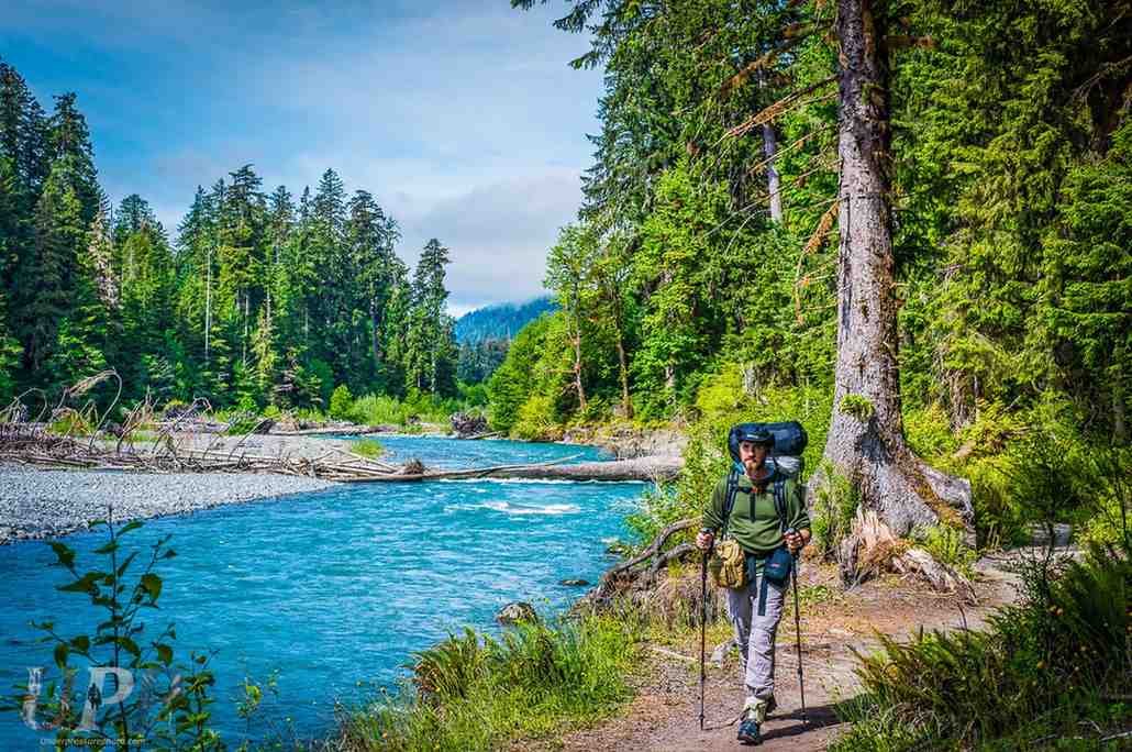What Can You Do in the Hoh Rainforest | Top Things to Do